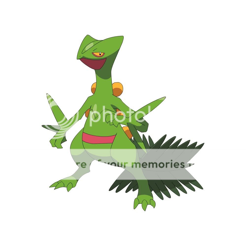 Arenas | Gaia Online