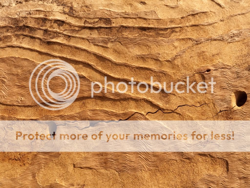 G1 Agave & wood texture | DPReview Forums