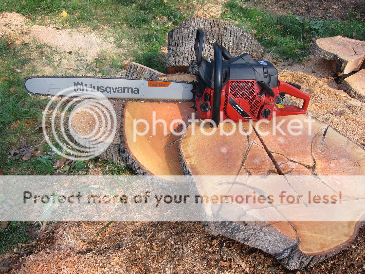 Where to buy Total Super Pro chainsaw bars? | Arborist, Chainsaw & Tree ...